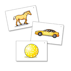 Edmark Reading Program: Level 1 Second Edition Picture Match Cards ...