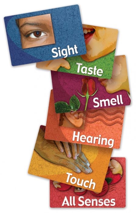 Sharpen Your Senses Cards | Special Education